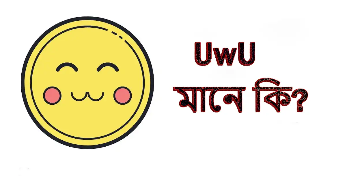 UwU মানে কী? - মানেকী?